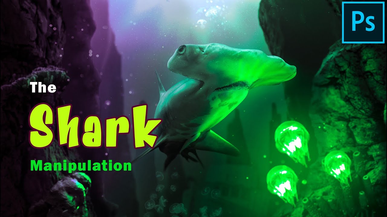 Shark Photoshop Manipulation tutorial | speed art - YouTube