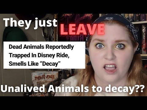 They Just LEAVE Unalived Animals To Decay?? - YouTube