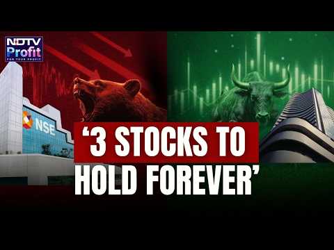 Which Stocks Can You Buy Now And Hold For The Long Term?