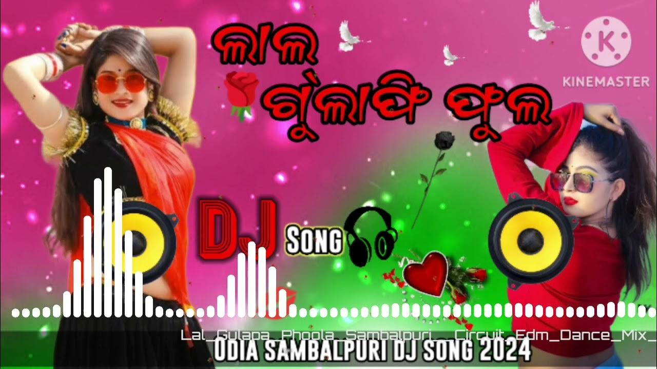 Lal Gulaphi Phula Odia Sambalpuri Dj Song || Odia Sambalpuri Dj Song 2024 || YS Dj Remix - YouTube