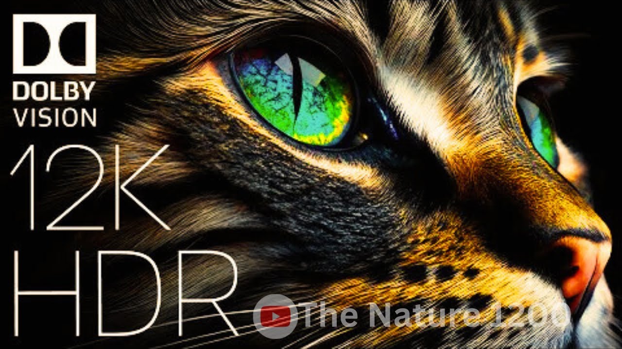 Crystal Black: A Stunning 12K HDR Dolby Vision Experience at 60fps ...