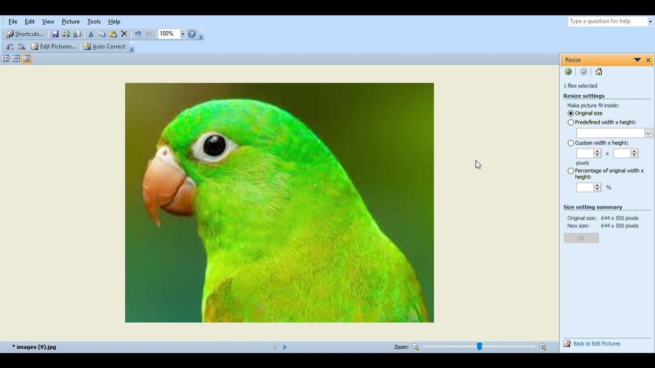 How To Decrease Photo Size And Pixel Use Of For Online Applications YouTube how-to-decrease-photo-size-and-pixel-use-of-for-online-applications-youtube