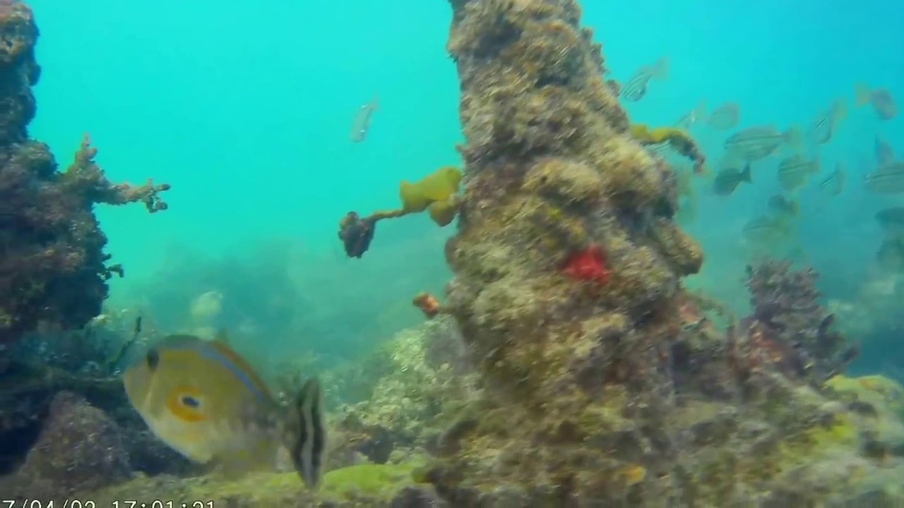 Coogee Omeo Ship wreck - YouTube