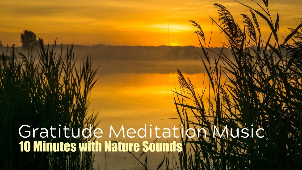 Morning Gratitude with Nature | Relaxing Meditation Music | Mindfulness ...