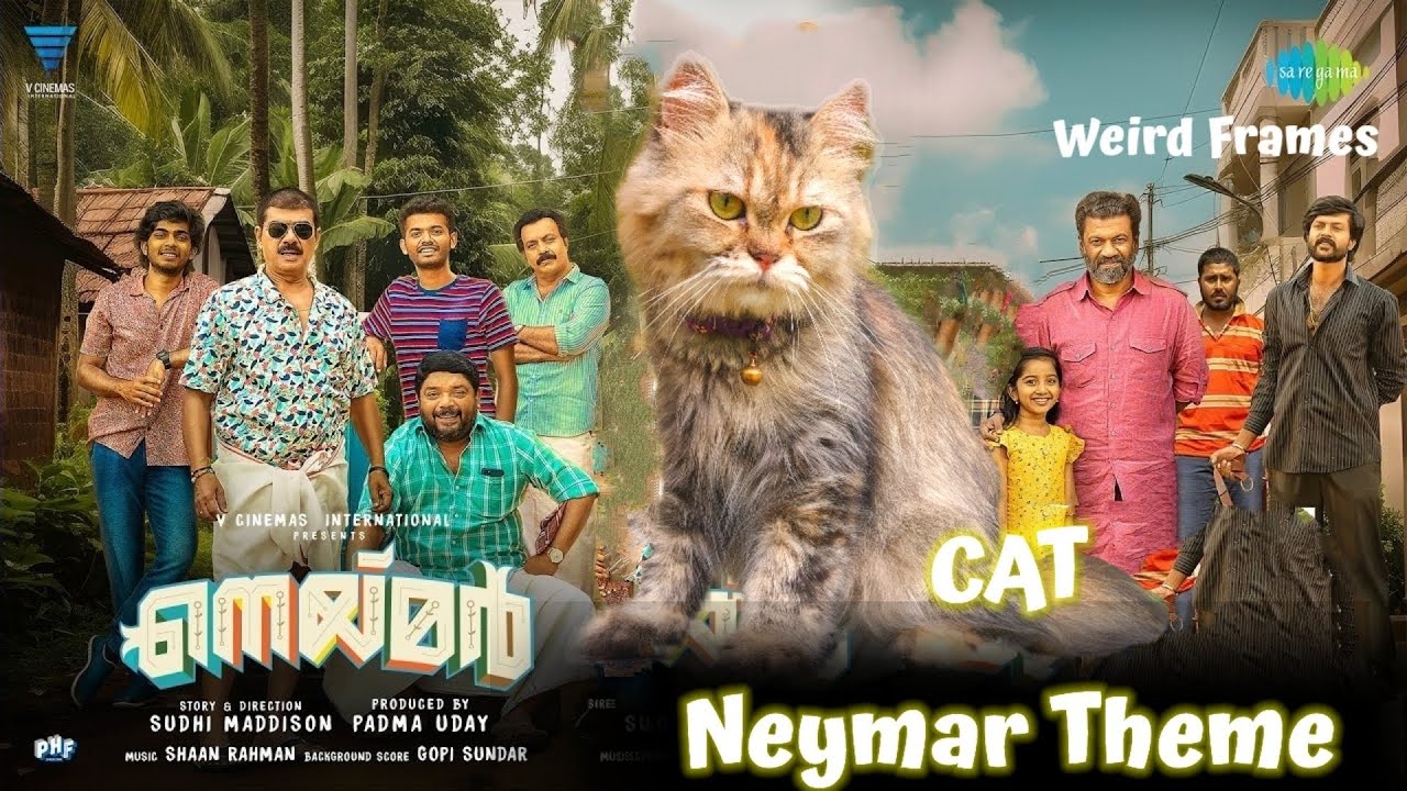 Dolly - Cat Neymar Movie Theme | Weird Frames | Henash | Dolly | Neymar ...