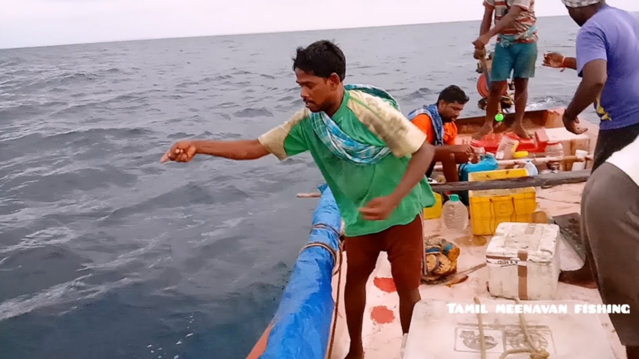 Hand line fishing / catching for yellowtail fishing in sea - YouTube