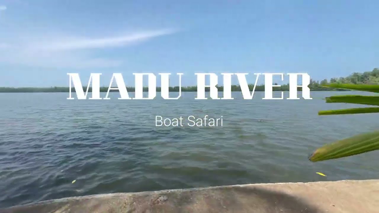 Madu Ganga | Madu River Boat Safari | Madu Gaga Dige | මාදු ගඟ දිගේ ...