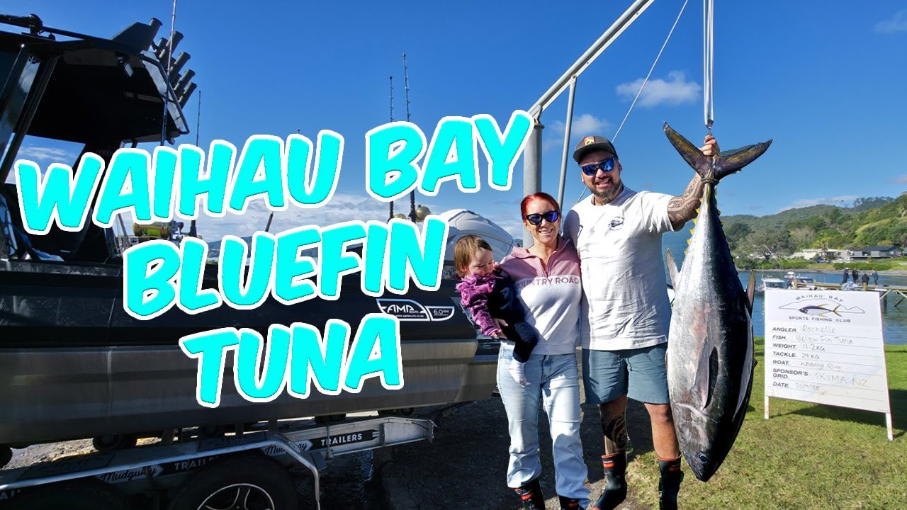 WAIHAU BAY| Bluefin Tuna Fishing Adventure| New Zealand 🎣 - YouTube
