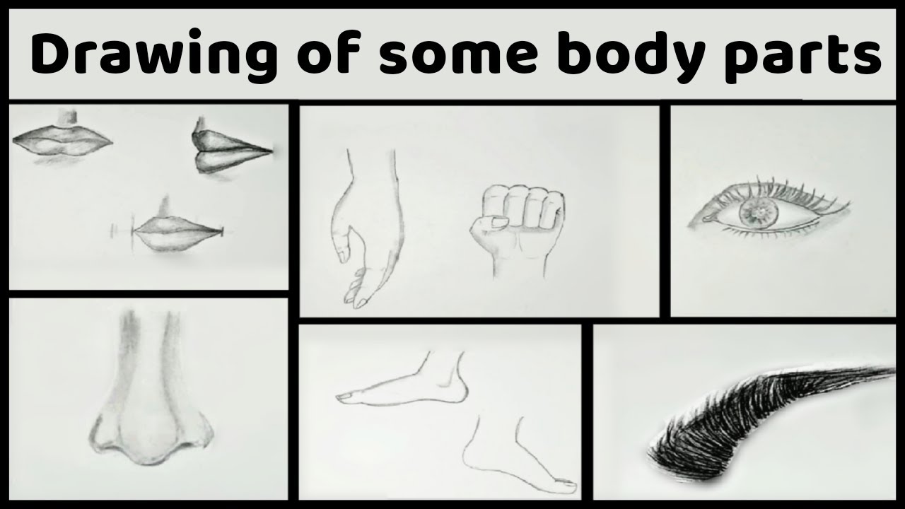 Drawing of some body parts - YouTube