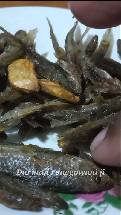 Hasil Mancing Ikan Wader Uceng di Selokan di Goreng Garing Gurih #221 - YouTube