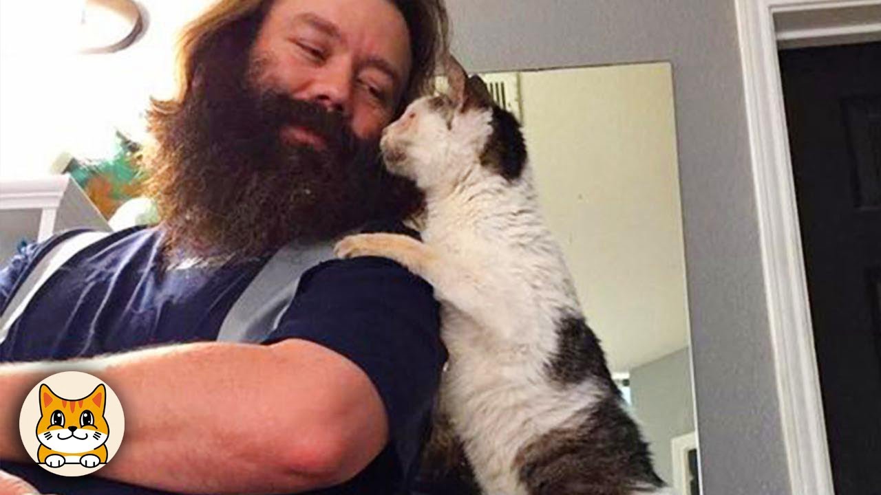 A Stray Cat Tried to Adopt Me – Cutest Moment Ever!🧡 - YouTube