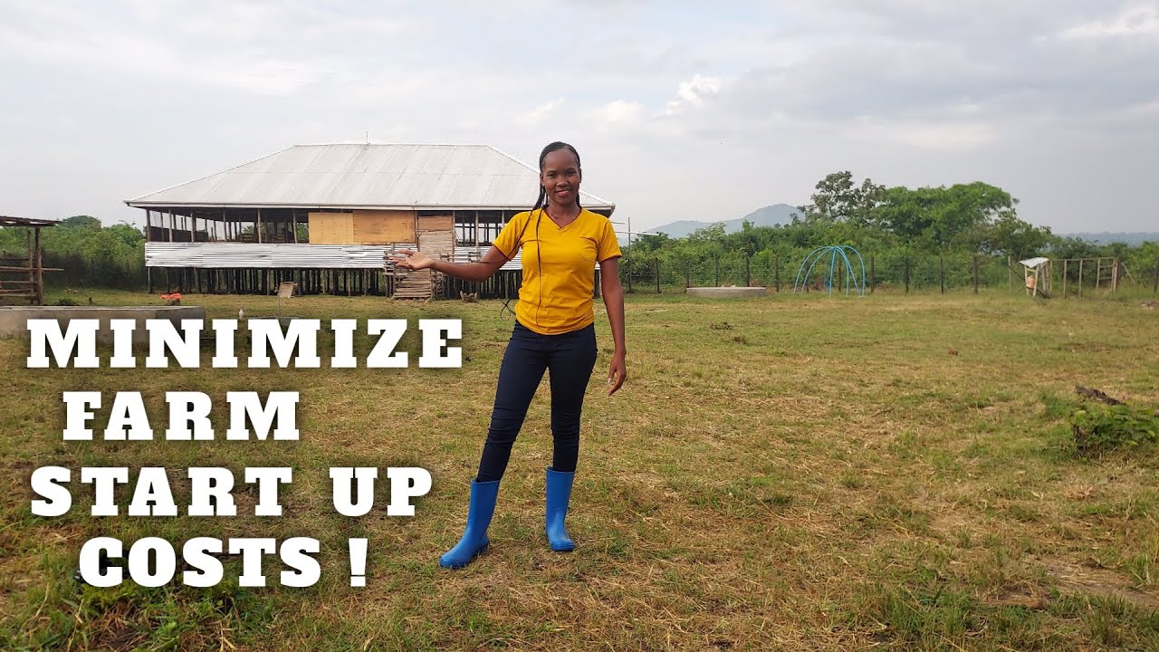 How To SUCCEED In Farming Business As A BEGINNER! | Essentials - YouTube