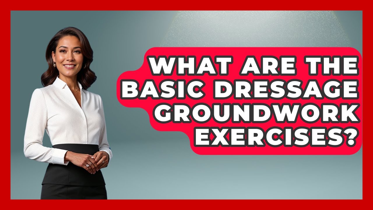 What Are The Basic Dressage Groundwork Exercises? - The Horses Stable - YouTube