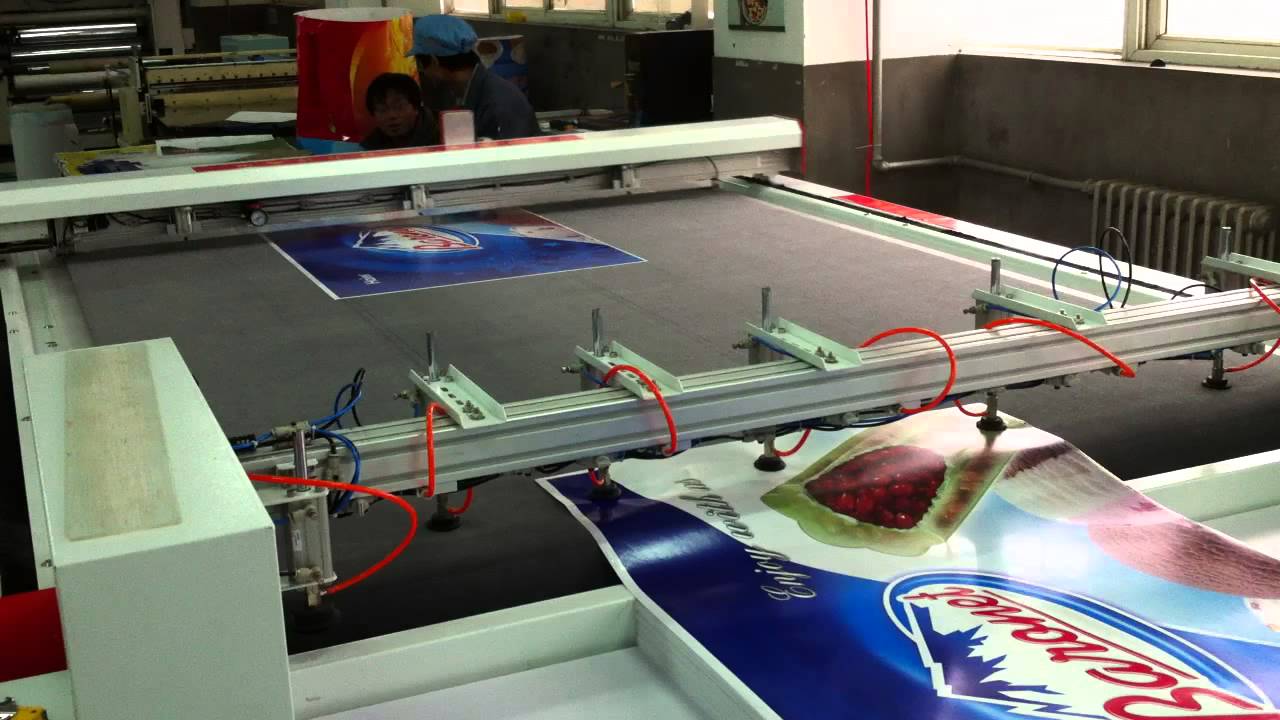 Echo DC Plotter mit Conveyor Bogenanleger CCD Camera 02 - YouTube