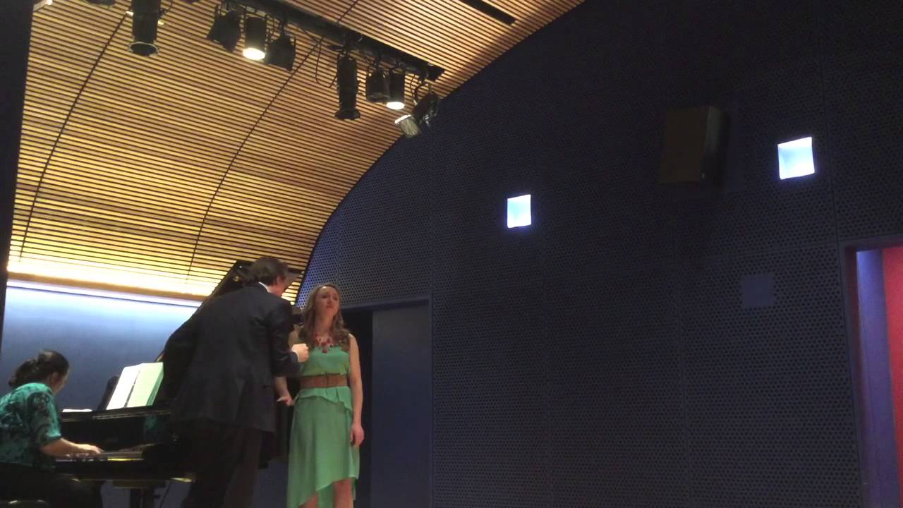 Mark Markham Master Class at Opera America April 16, 2016 - part 3 ...