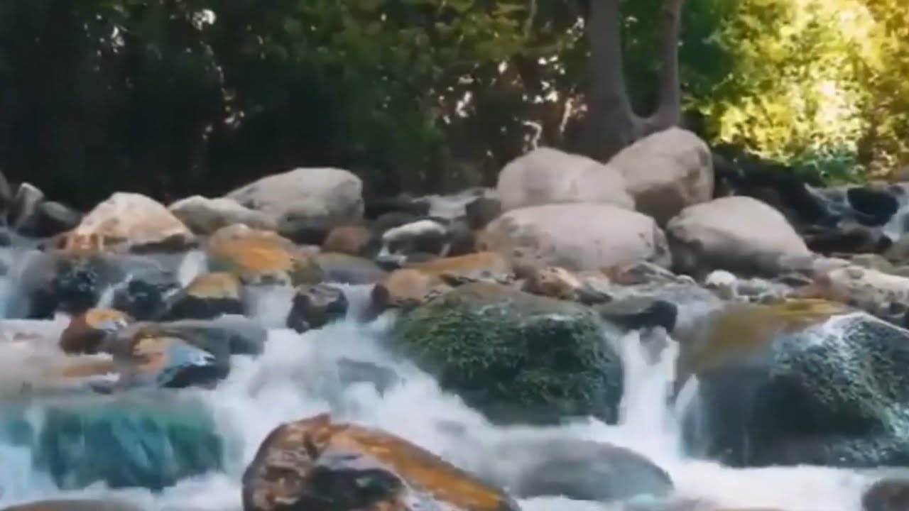 Nature's Meditation: Peaceful Landscapes & Relaxing Music for ...