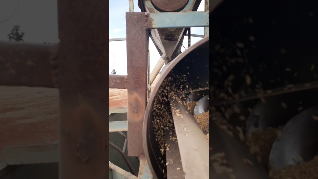 Indent grain cleaner - YouTube