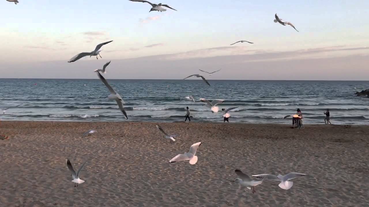 IPhone 6 A 240 Fps slow Motion YouTube iphone-6-a-240-fps-slow-motion-youtube