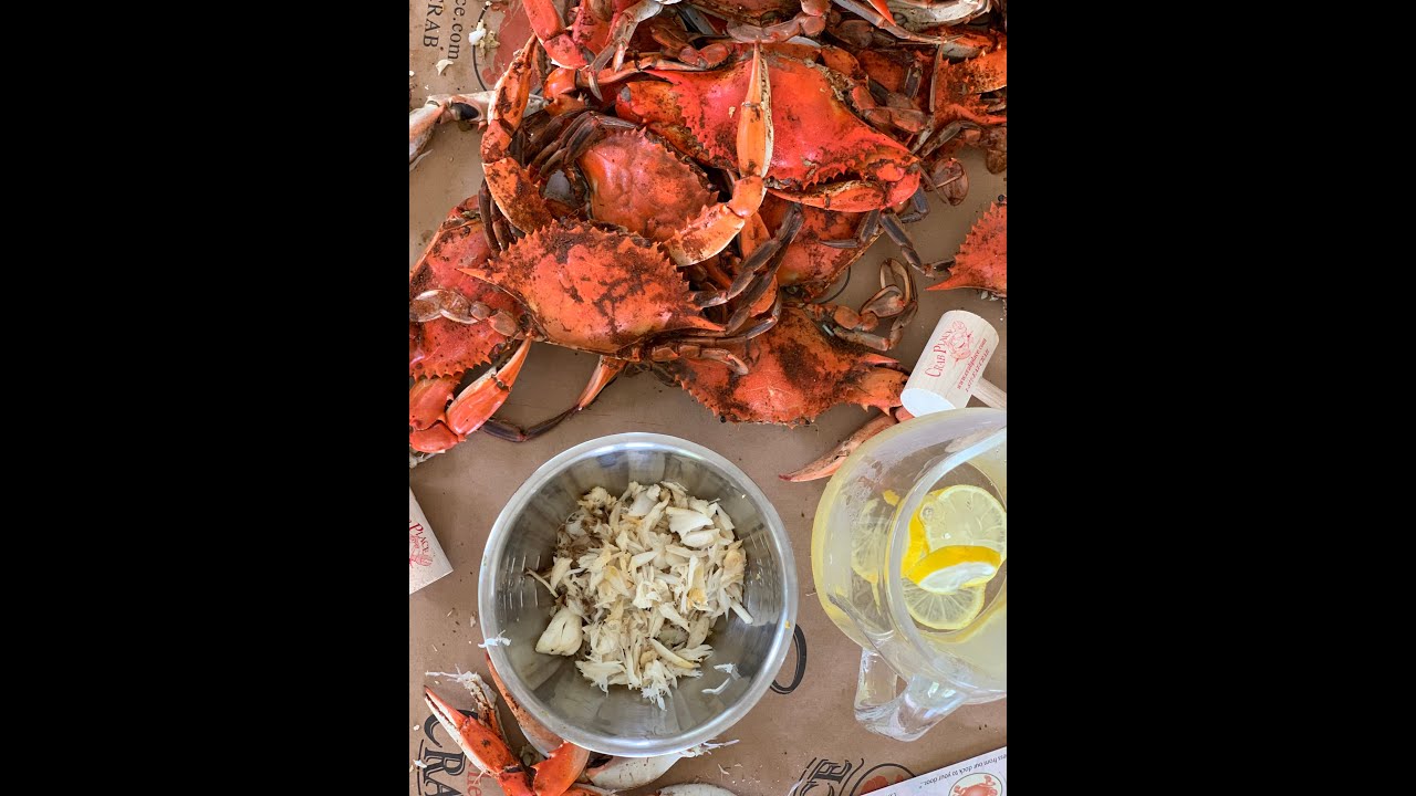 Picking Crabmeat 101 - YouTube