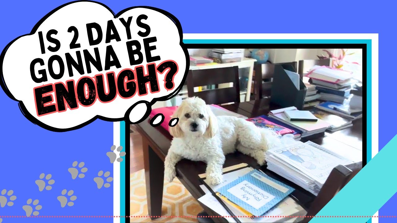 Day 2: Organizing New Homeschool Curriculum & How the Room Will ...