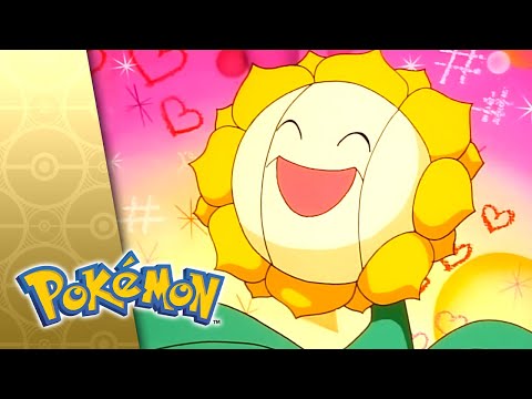 Grin To Win! | POKÉMON FULL EPISODE 19 | Season 3