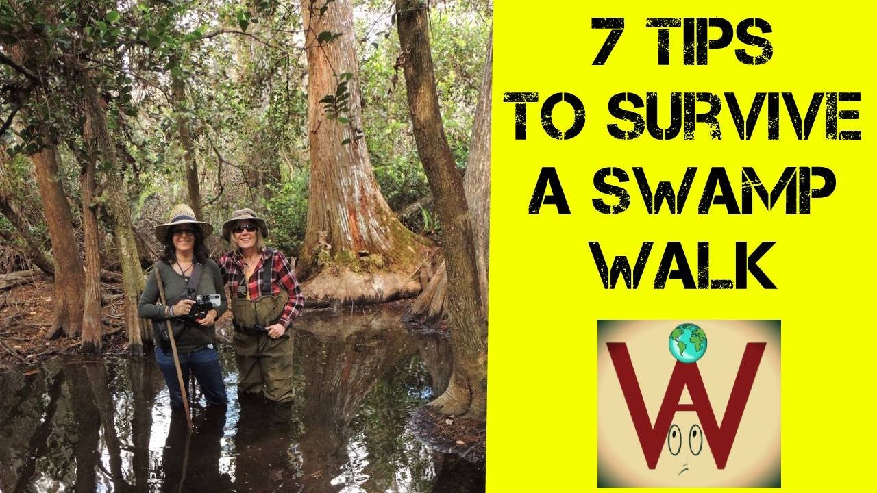 Top 7 Tips to Survive a Swamp Walk - YouTube