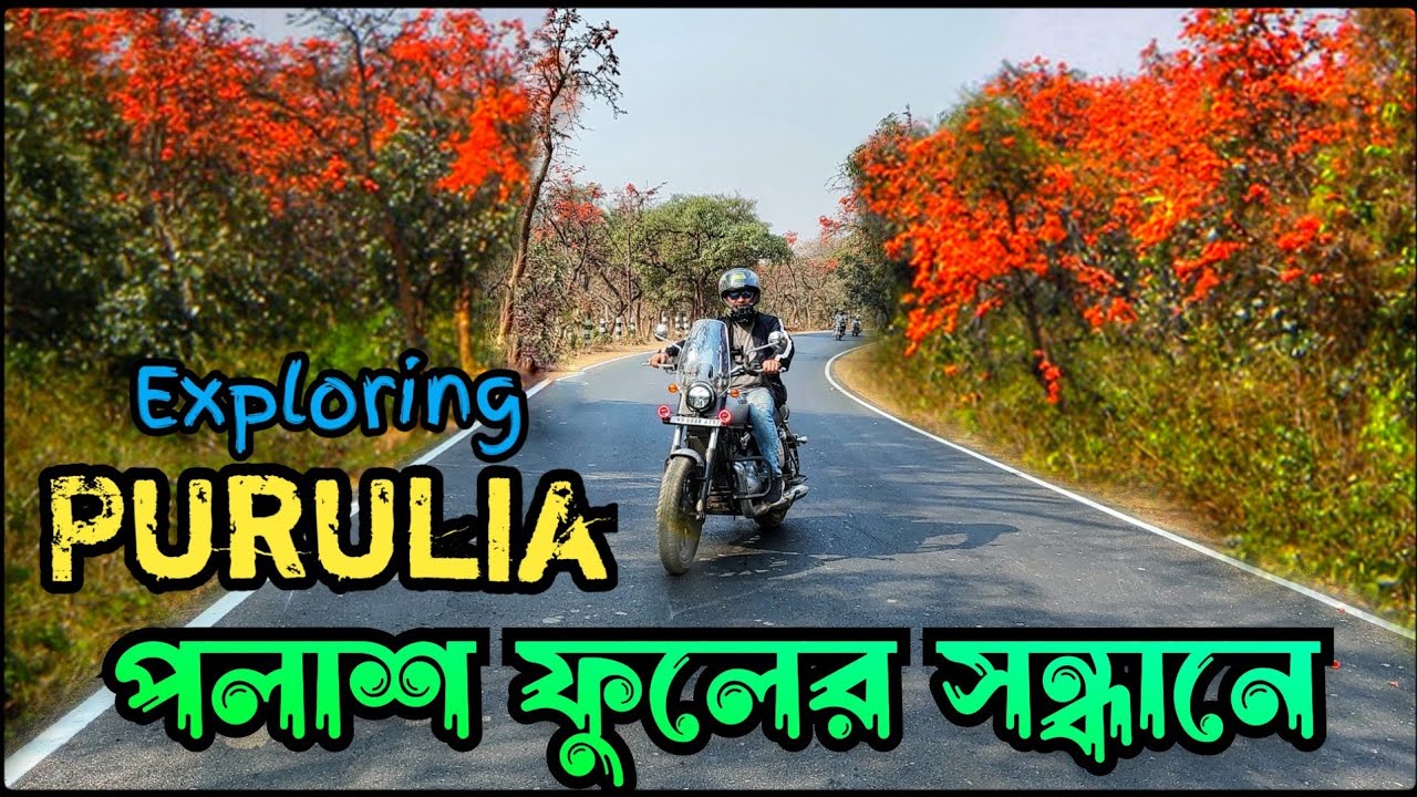 বসন্তের পুরুলিয়া ll Palash Phool in Purulia ll Ajodhya Pahar - YouTube