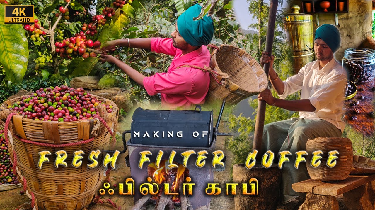 Filter Coffee making from Fresh Coffee Beans | Filter Coffee at home ...