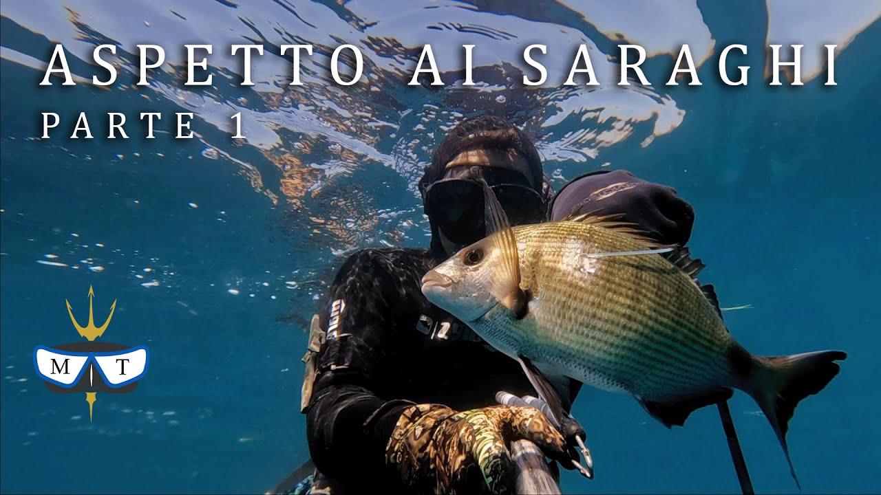 Aspetto ai Saraghi - SAN VITO (TA) - Luglio 2023 Pt. 1 - YouTube