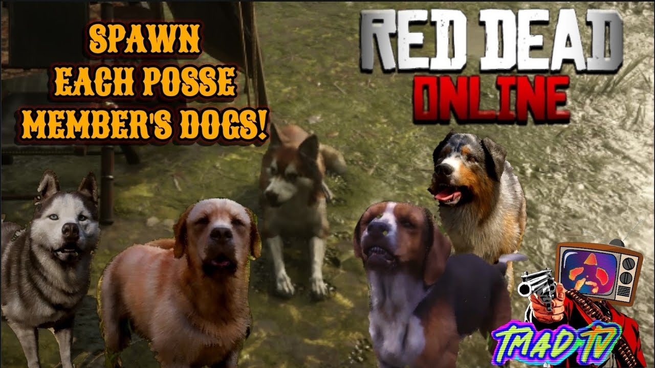 Spawn Every Posse Members Dogs Into Camp! | Camp Dog Glitch | Red Dead ...