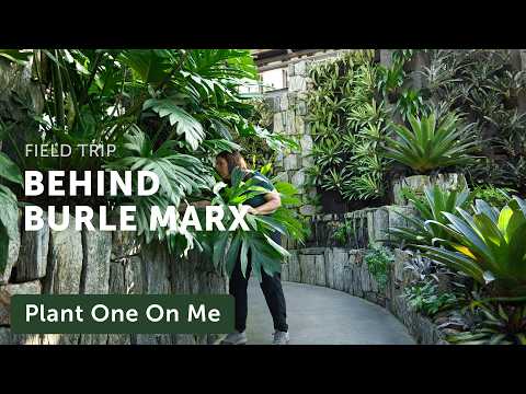 Garden Legend BURLE MARX'S ONLY Exhibit in the US — Ep. 433