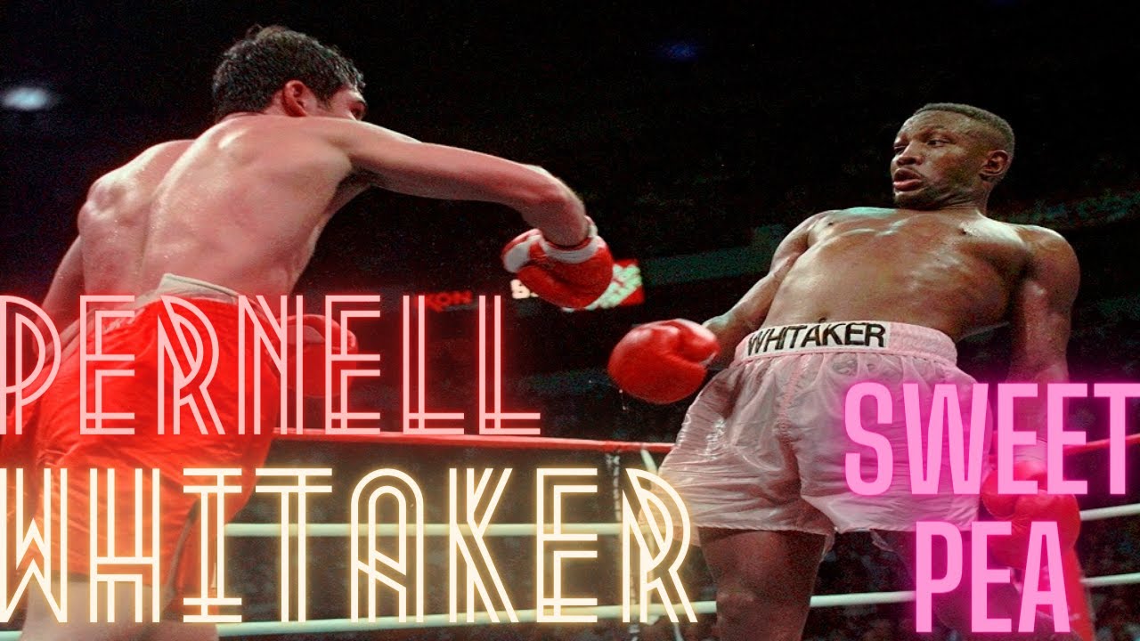 Pernell "Sweet Pea" Whitaker | Highlight Reel - YouTube