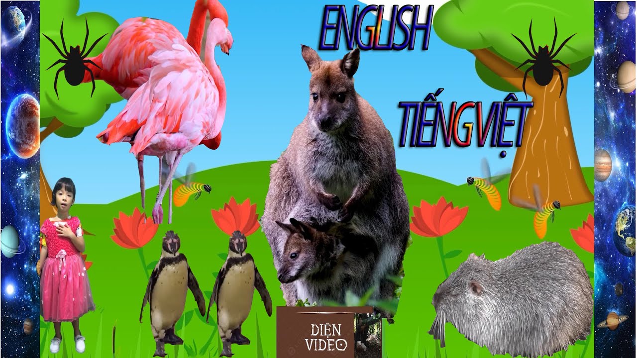100 Animals for Kids (3) - Toddlers-Babies in English |Educational ...
