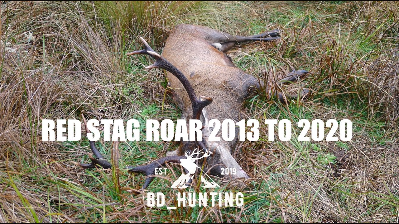 Red Stag Roar Hunting Nz 2013-2020 - YouTube