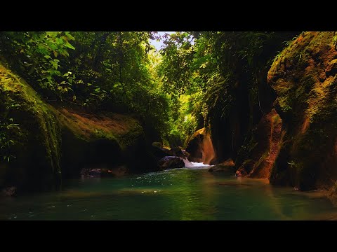 Too Relaxing for Words: Stream Flow & Gentle Birdsong for Meditation, Sleep, Stress Relief