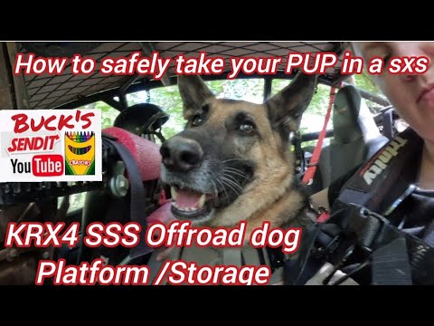 How to Safely let your dog ride in a SXS. SSS Offroad KRX4  Cargo Rack / Dog Seat install review.