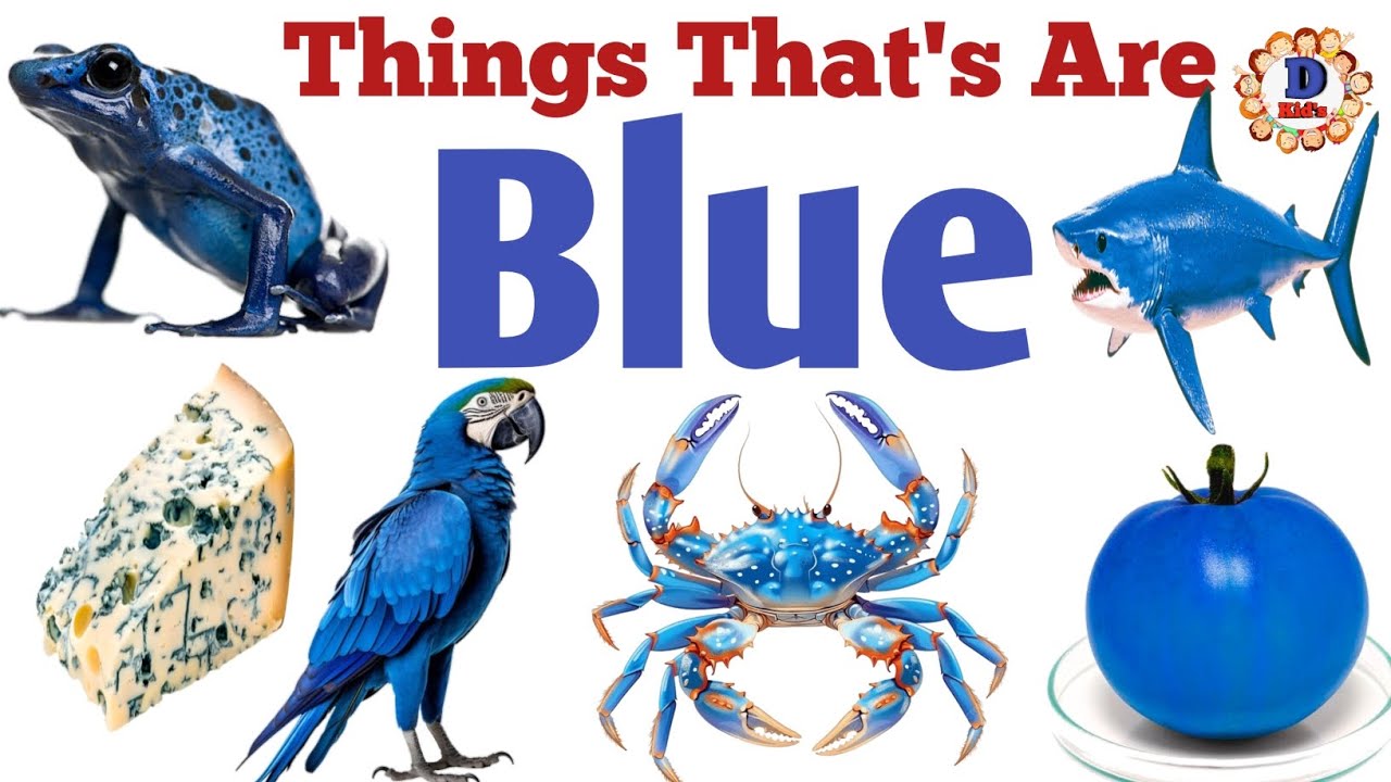 Things That's are blue in Colour || Blue🔵 Color🎨|| 🫐🦚🌎💧💨🐦🐟🐬💧💦🌊# ...