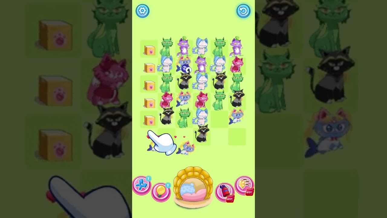 Connect Cat Classic | Short 1 - YouTube