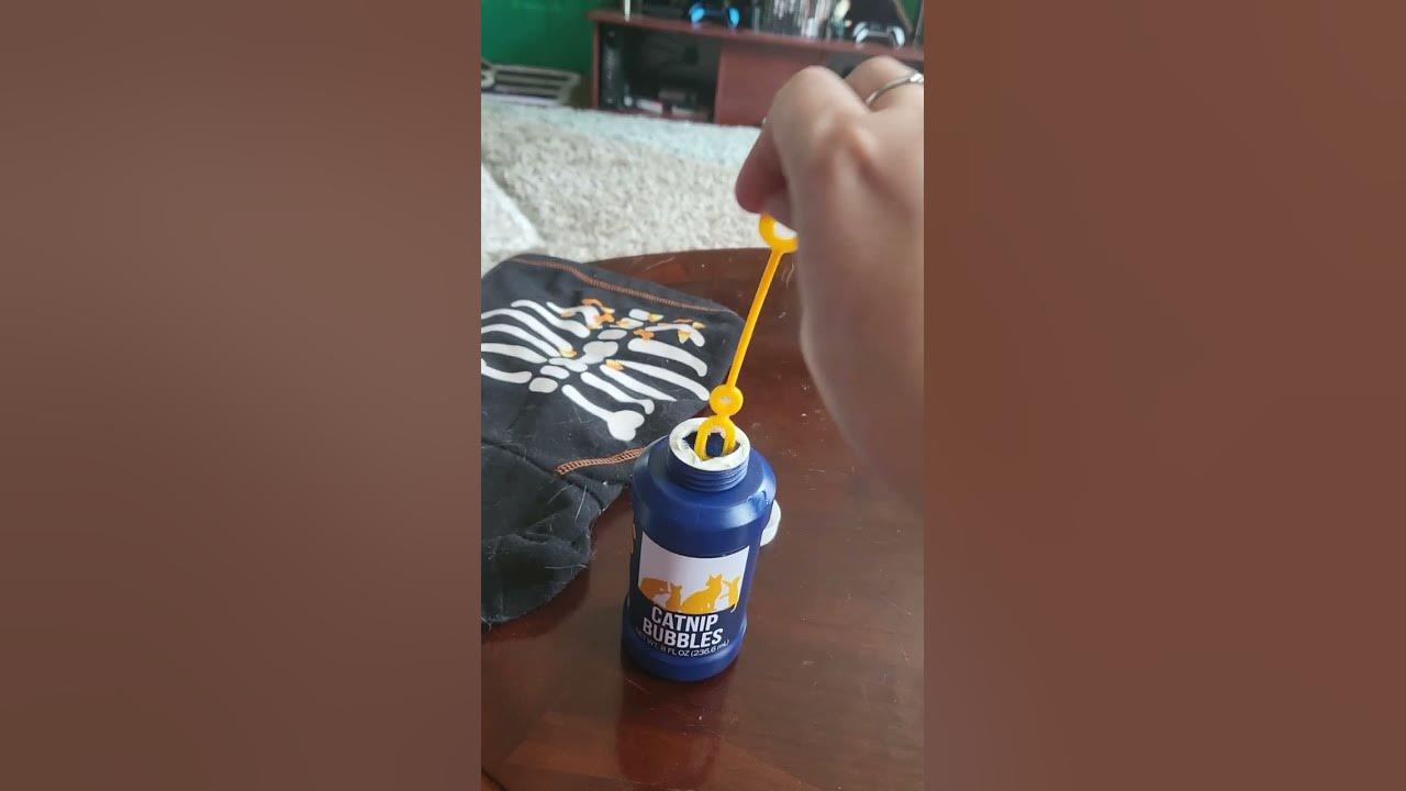 catnip bubbles - YouTube