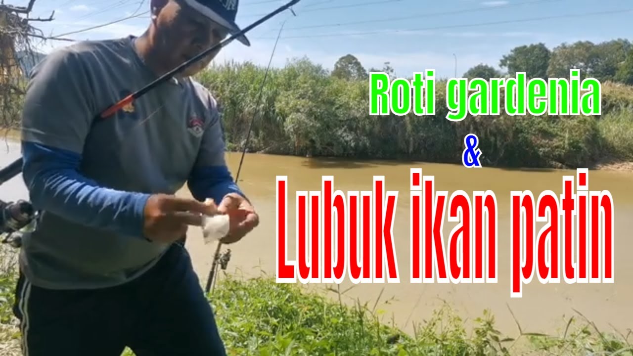 Lubuk fish patin and roti gerdiner / river langat - YouTube
