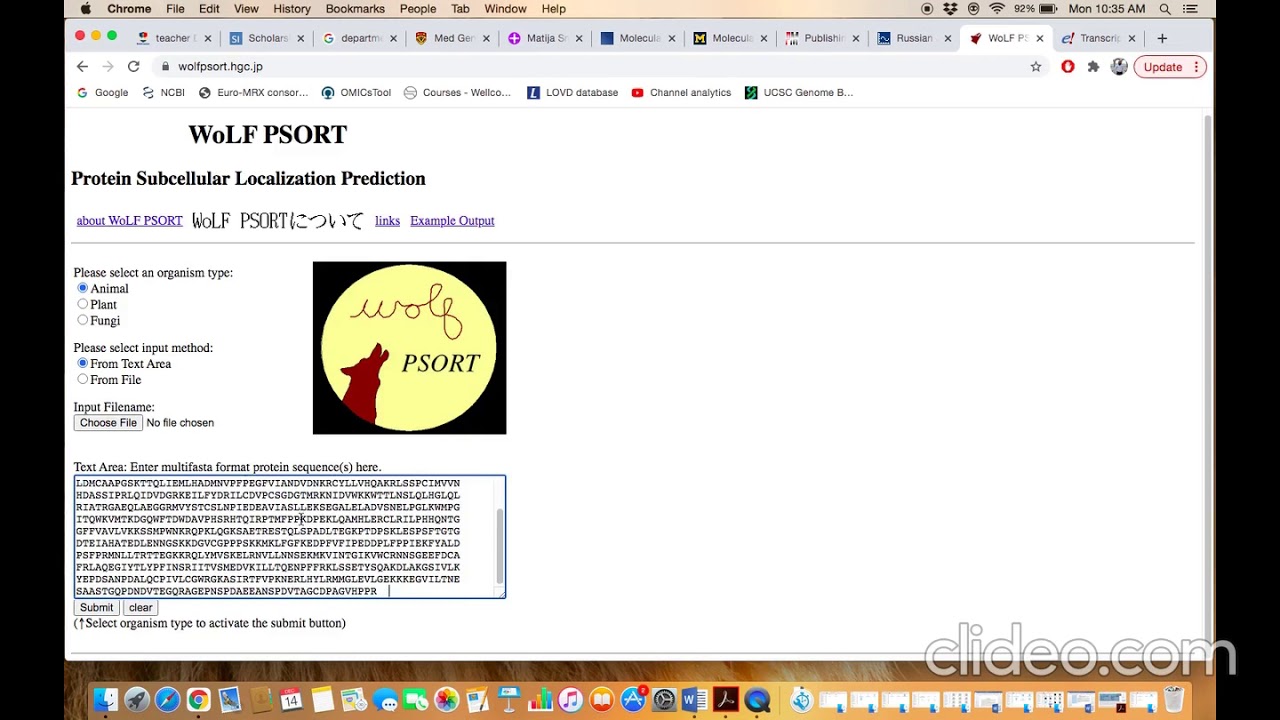 WoLF PSORT: Predicting Sub-cellular Localization of Protein - YouTube