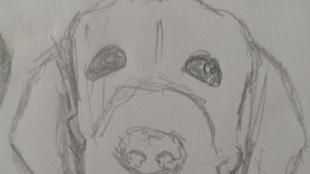 NSB: Unlocking the artist within drawing real life references - YouTube