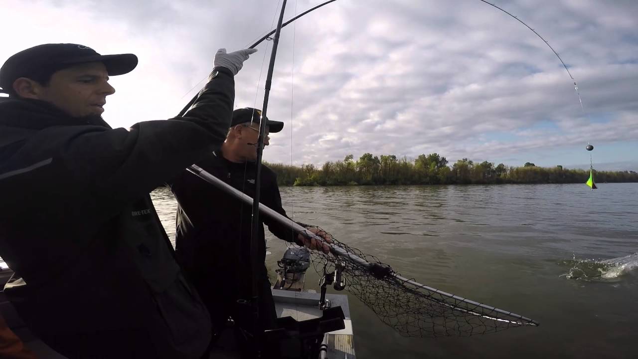 Spring Chinook Salmon Fishing in the Multnomah Channel in Portland ...