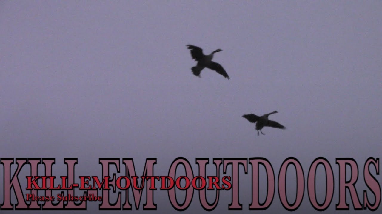 NY Goose Hunting "Kill Shots" - YouTube