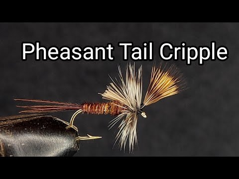 How to tie a Pheasant Tail Cripple | Fly tying tutorial - YouTube