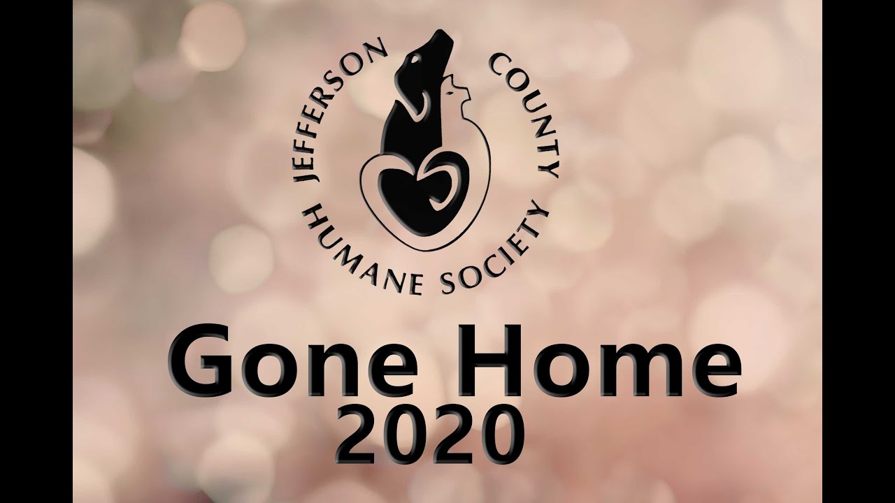 Gone Home 2020 - YouTube