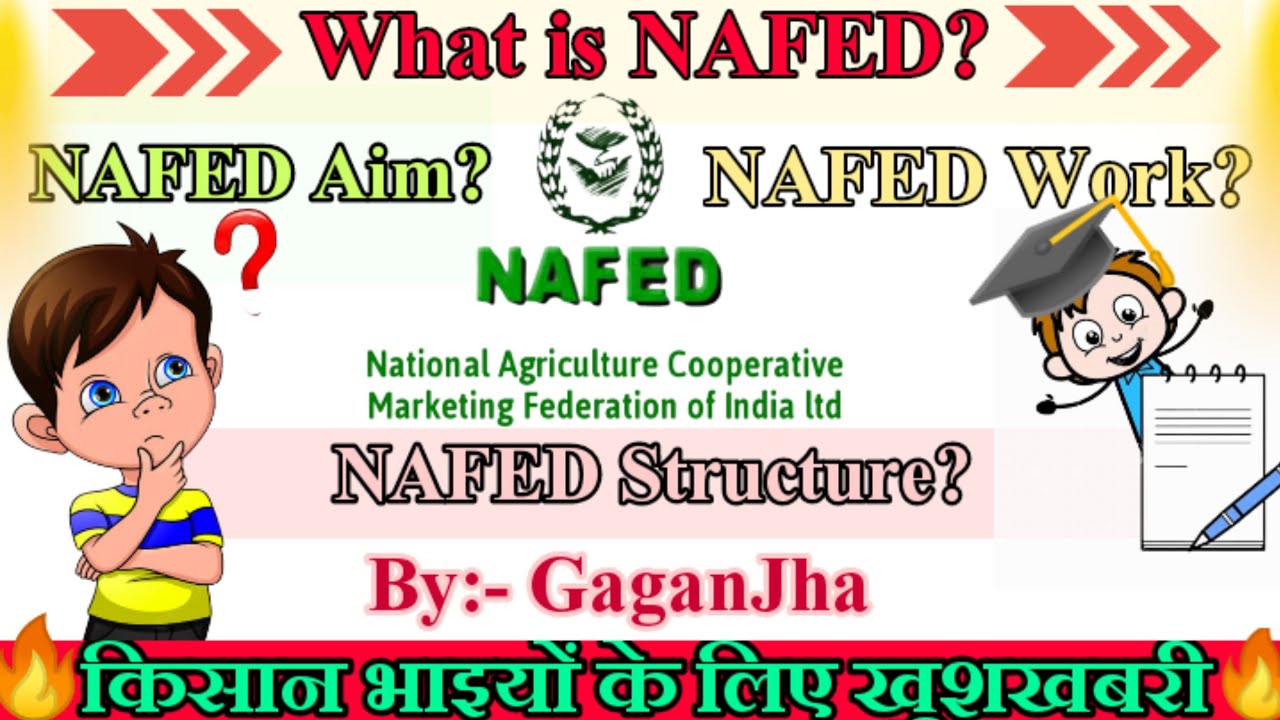 NAFED क्या है?Objective and structure of NAFED l Part -2 l Video by ...