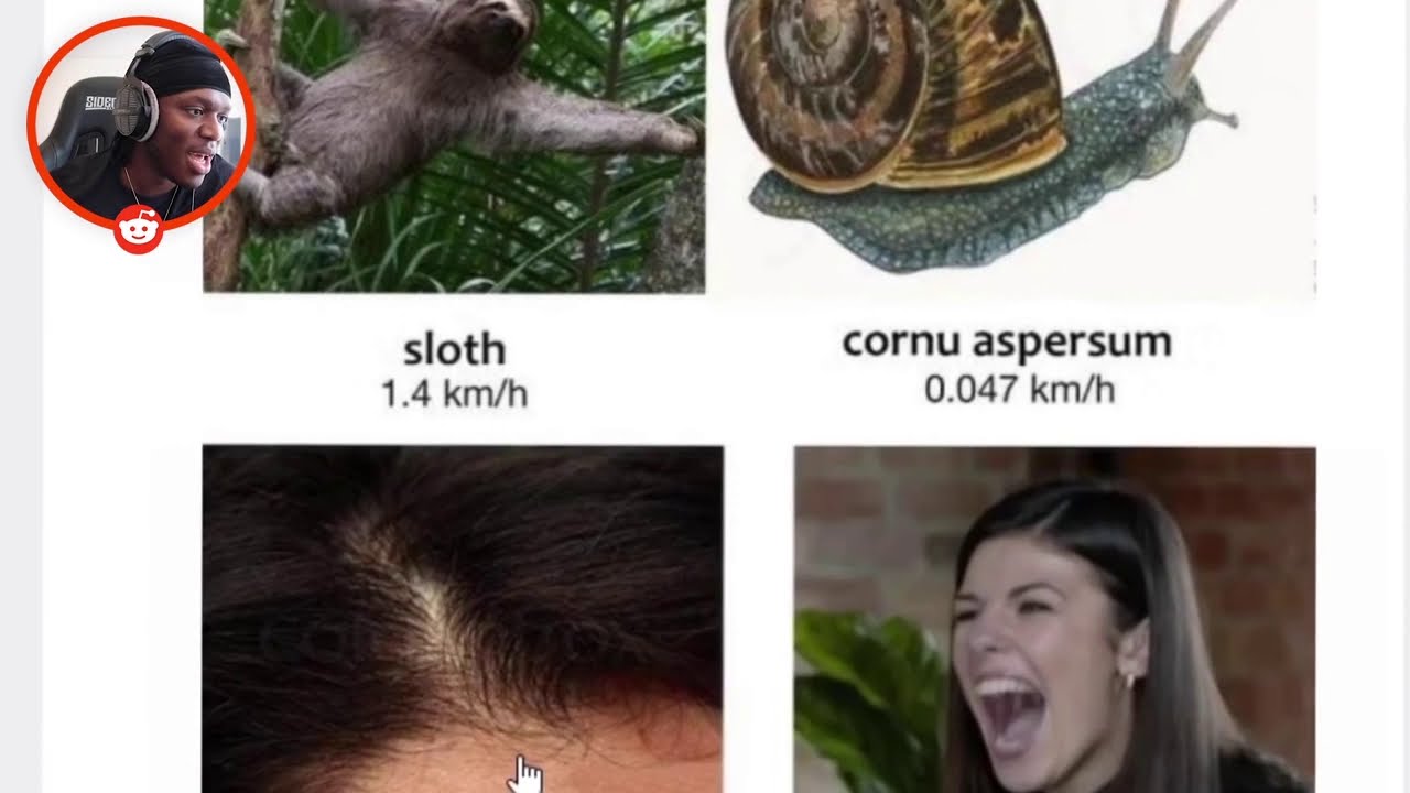 KSI's thoughts on Ally from Sidemen IRL tinder - YouTube