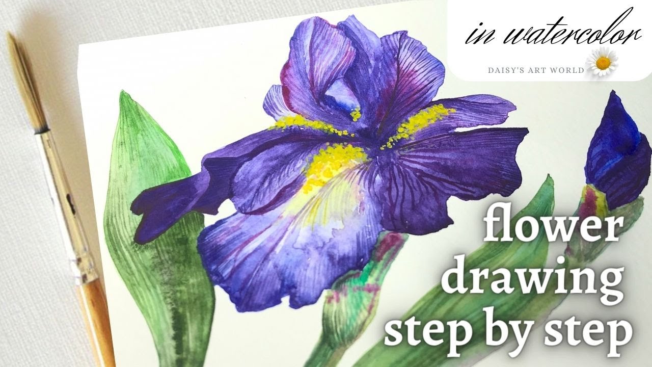 how to draw irises. Speed Painting with Watercolors: Learn, Create, and ...
