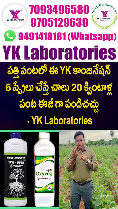 #పత్తి పంటలో ఈ #YK కాంబినేషన్ 6 స్ప్రేలు చేస్తే చాలు 15-16 క్వింటాళ్ల #vaayu#yantra #cotton | YK ...